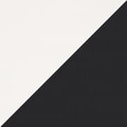 Dry Erase | Tackable Room Dividers | Screenflex Partitions