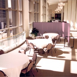 Photos of Room Dividers uses in a Restaurant