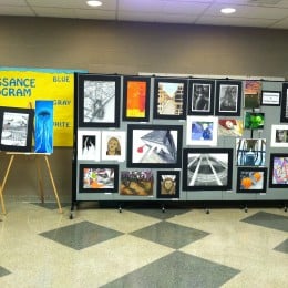 Photos of Room Dividers used as an Art Display