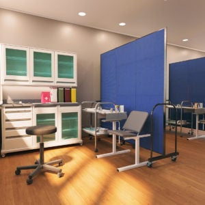 Versatile Patient Privacy Screens - Screenflex Portable Room Dividers